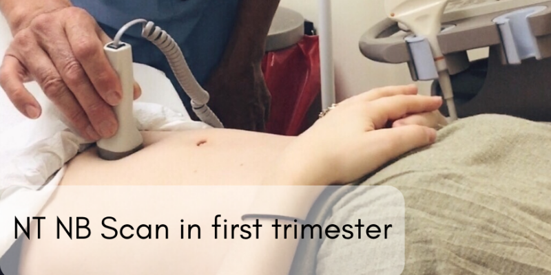 What Is A Usg Level 1 Nt Nb Scan And Double Marker Test Pink Column
